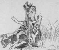 The Art of Hung Hsien - Taiwan Today